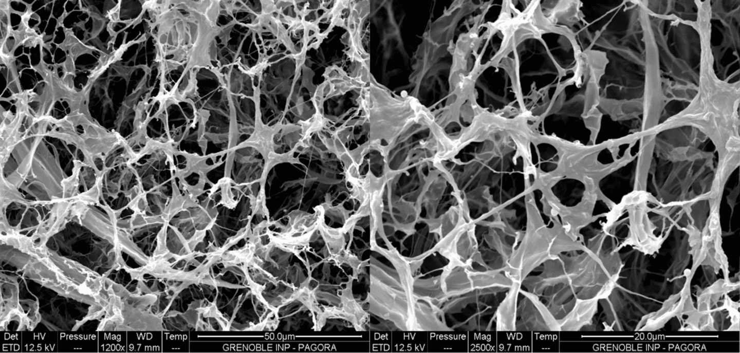 Cellulose phosphorylation optimisation for a transparent flexible ...